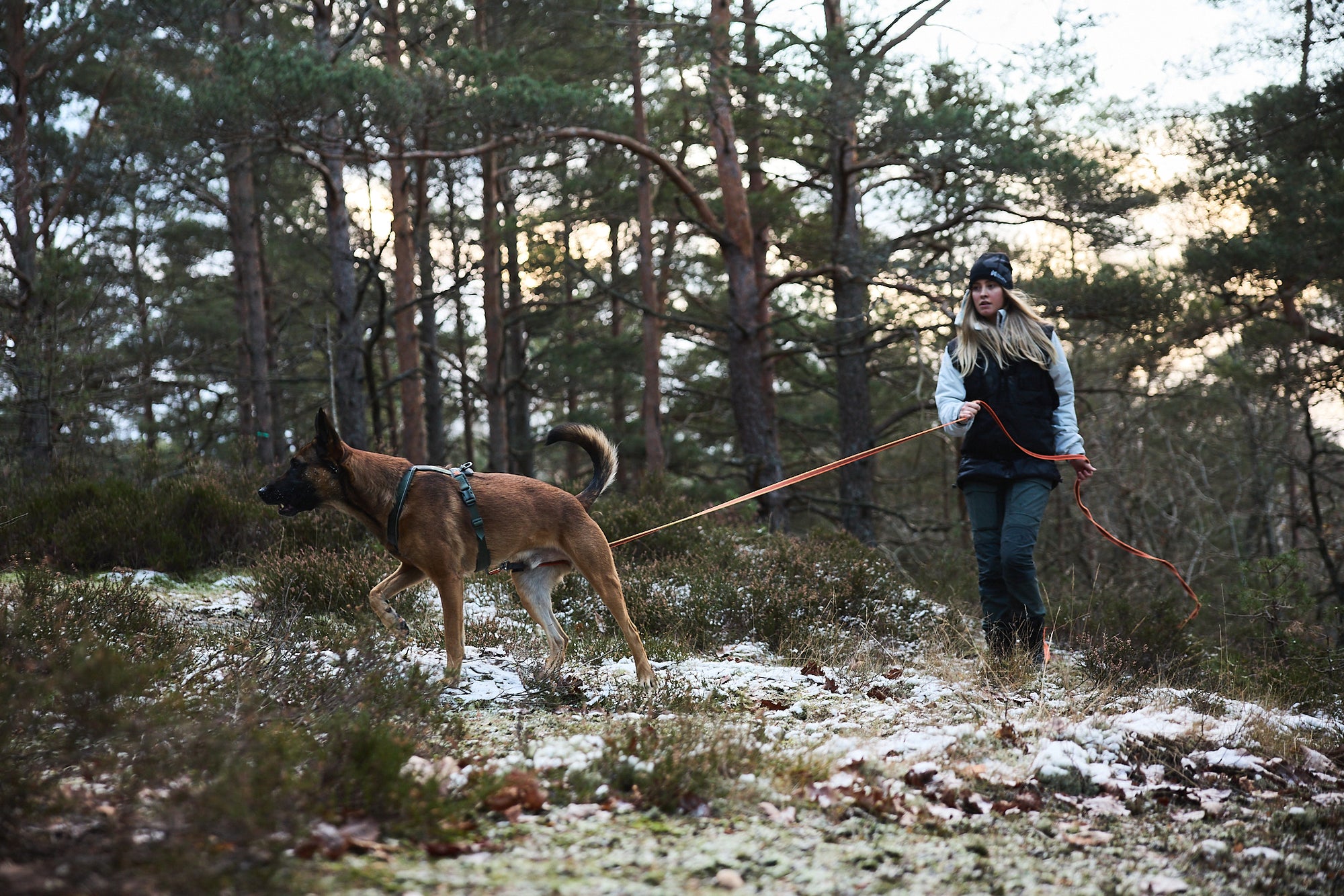 Non-Stop Dog Wear: Friction Long Line 15m and 10m