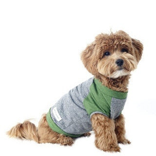 Dog T shirt: Essentials