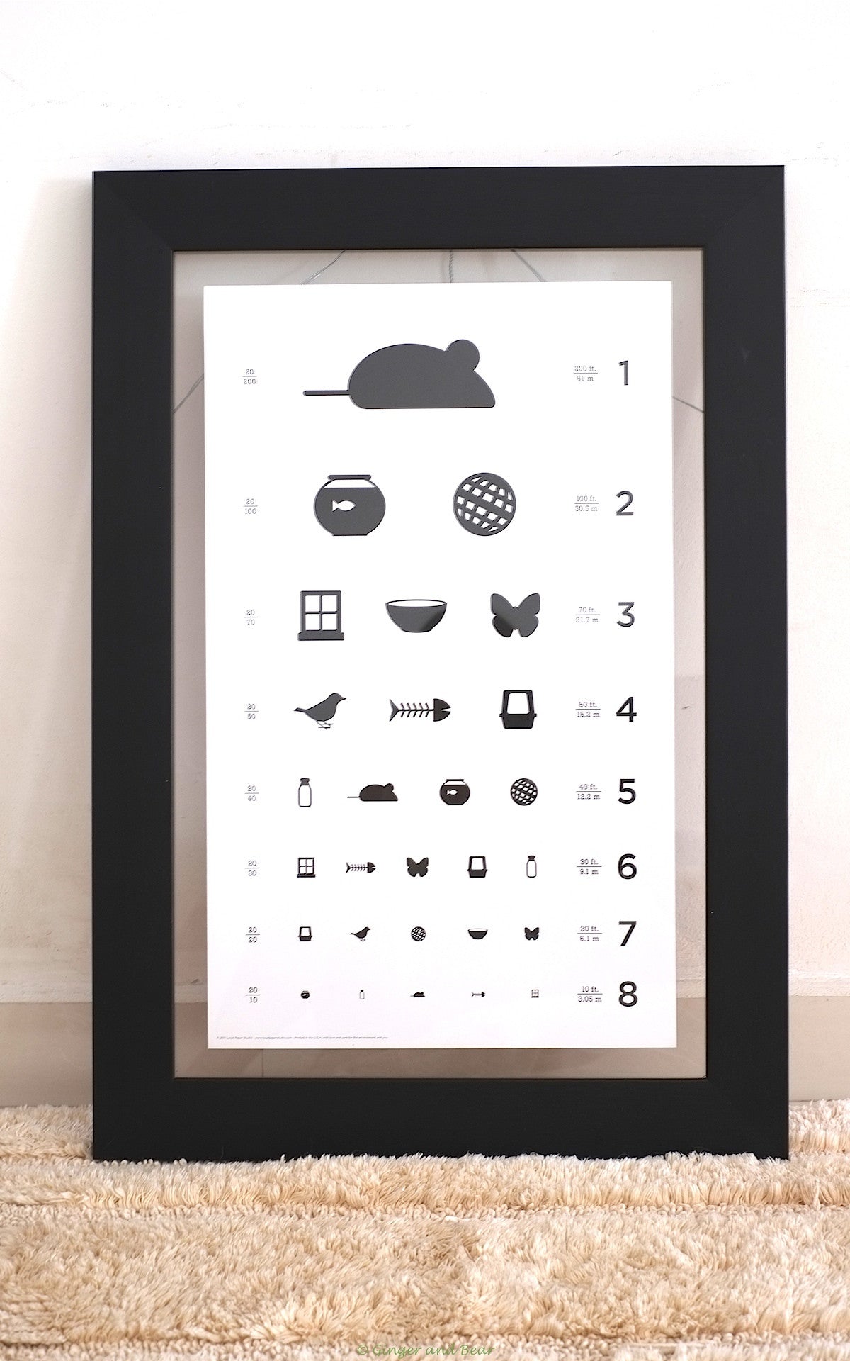 Eye chart for Cats – Ginger and Bear