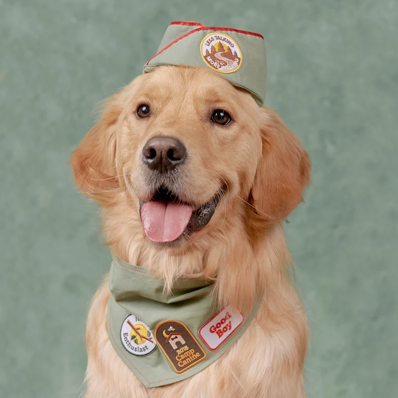 Dog Merit Badges: Camp Canine – Ginger and Bear