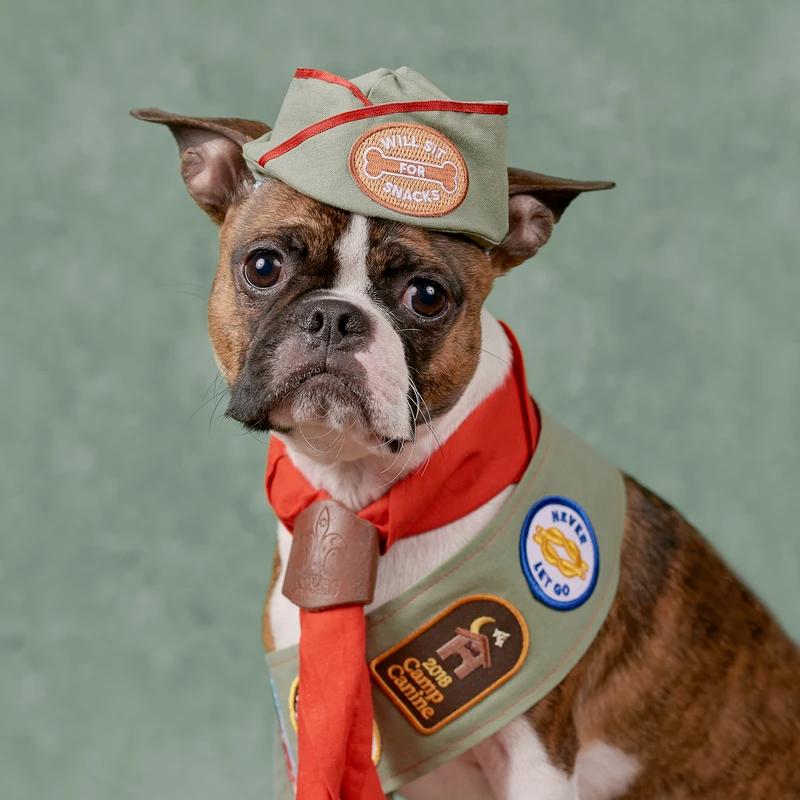 Dog Merit Badges: Camp Canine – Ginger and Bear